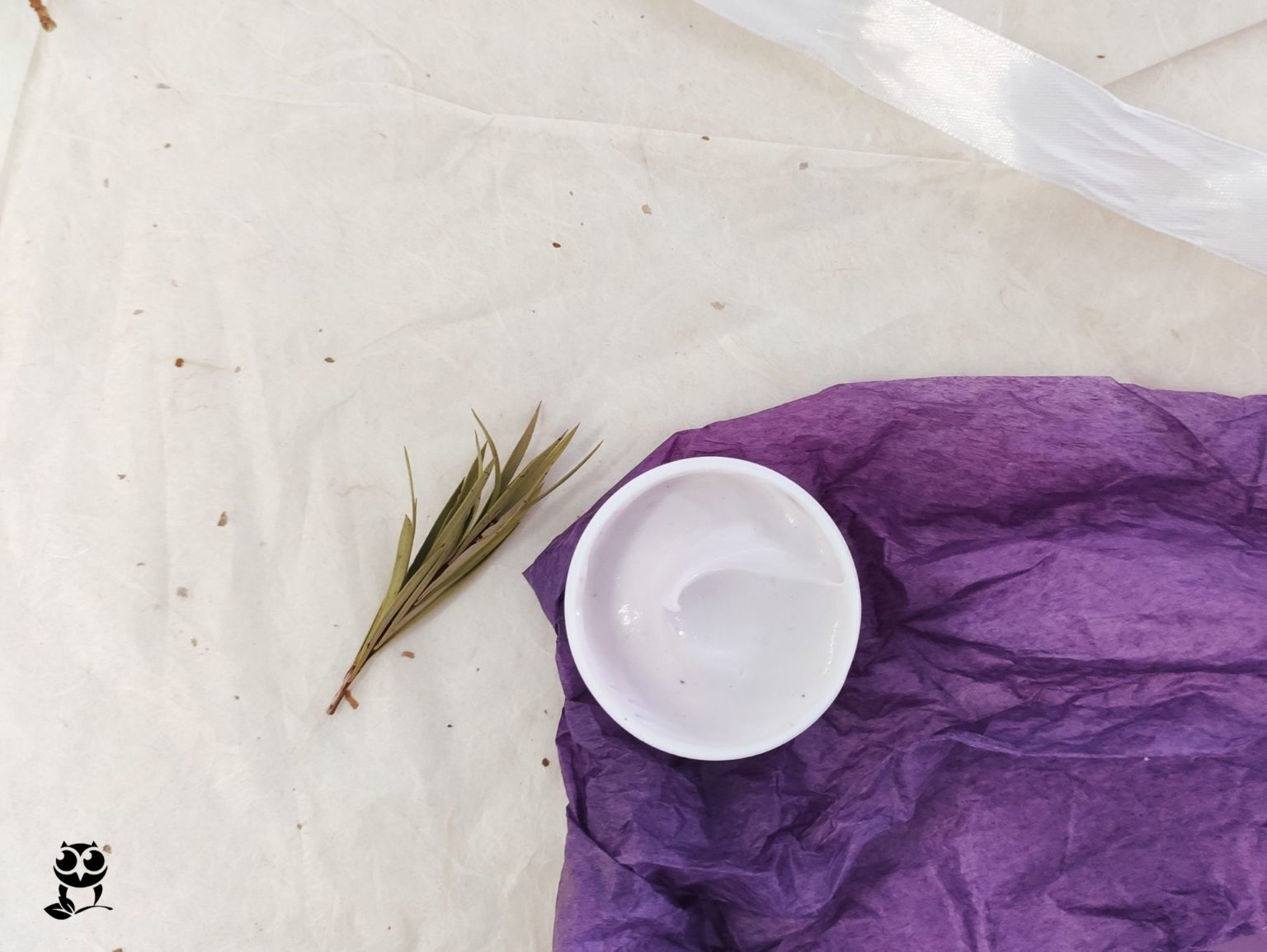 Winter Plum Facial Cream For Dry Skin In Winter – Wild for Nature